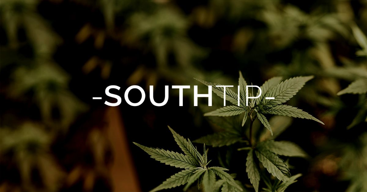 Cannabinoids 101: Types of Cannabinoids, Overview and Effects